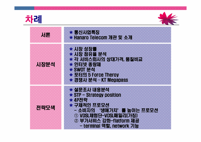 마케팅 Hanaro Telecom(하나로텔레콤) 마케팅전략 - 경제경영