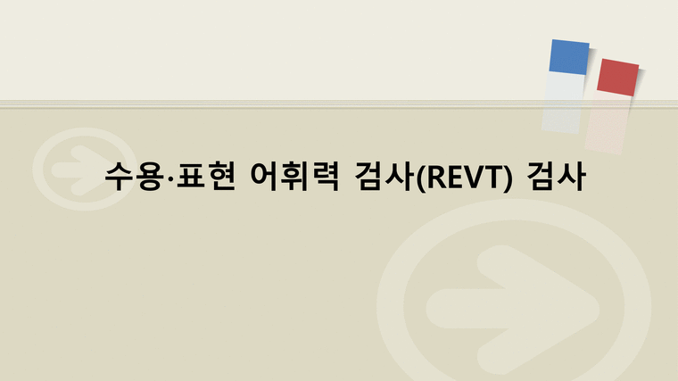 수용 표현 어휘력 검사(REVT) 검사 - 인문/교육