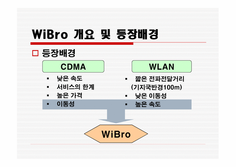 WiBro(휴대형무선인터넷) - 경제경영