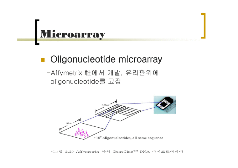 Normalization for Microarray Data - 자연/공학
