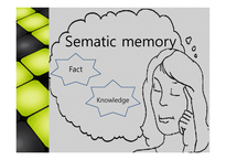 Episodic Memory에 대해서 - 의약학