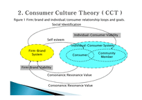 VAT and CCT Viable Systems Approach and Consumer Culture Theory - A ...