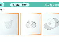 아동용한국판보스톤이름대기검사k-bnt-c (PPT정리 자료) - 인문/교육