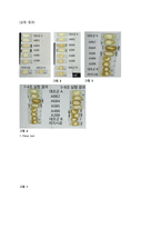 식품가공학 실습보고서1 pekar test wet gluten - 생활과학
