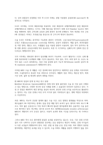 발목 관절 안정성을 위한 혁신적 접근법 MBO(Modified Brostrom Operation)의 이해와 절차에 대해 ...