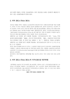 금융론 피치(FITCH IBCA) - 경제경영