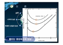 Al3O3 sol-gel 합성과 pH에 따른 나노입자의 관찰 - 자연/공학