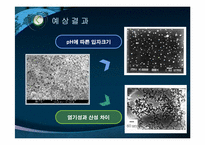 Al3O3 sol-gel 합성과 pH에 따른 나노입자의 관찰 - 자연/공학