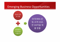 기술경영 IBM EBO(emerging Business opportunities) - 경제경영