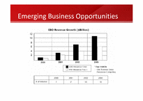 기술경영 IBM EBO(emerging Business opportunities) - 경제경영