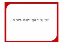 마케팅공학 국내 SPA 브랜드 SPAO의 Positioning - 경제경영