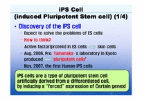 응용분자생물학 유도만능줄기세포(iSP cell) 설계 - 자연/공학