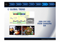 Fed(field emission display) - 자연/공학