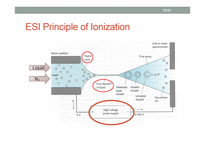 LC-MS-ESI LC-MS-Maldi - 자연/공학