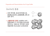 The Preparation and Characterization of X-Type Zeolite - 자연/공학