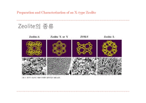 The Preparation and Characterization of X-Type Zeolite - 자연/공학