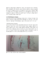 운동치료 bos와cog 균형조절 Balance control - 균형조절을 위한 운동전략 - 의약학