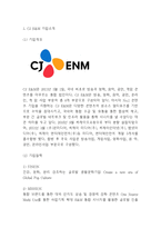 CJ E&M 기업분석과 SWOT분석및 CJ E&M 사업분야별 특성과 성과분석및 CJ E&M 미래전망과 향후전략제시 - 경제경영