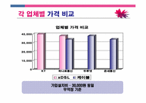 마케팅 Hanaro Telecom(하나로텔레콤) 마케팅전략 - 경제경영