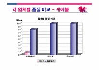 마케팅 Hanaro Telecom(하나로텔레콤) 마케팅전략 - 경제경영