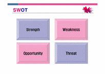 마케팅 Hanaro Telecom(하나로텔레콤) 마케팅전략 - 경제경영