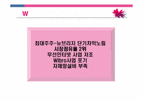 마케팅 Hanaro Telecom(하나로텔레콤) 마케팅전략 - 경제경영