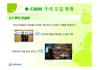 Capability Maturity Model CMM - 경제경영